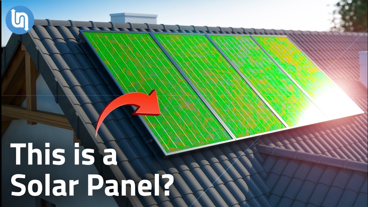 The surprising link between algae and solar energy