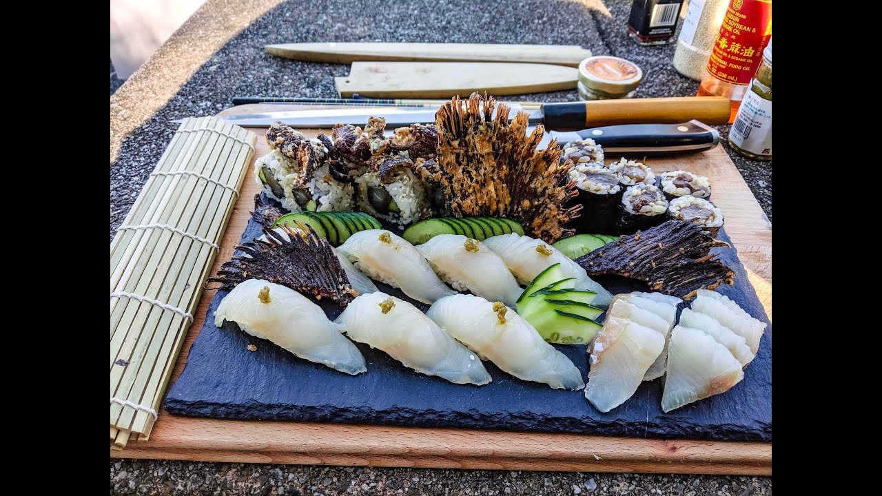 Turning lingcod into delicious sushi! (Catch and sushi ep. 13)