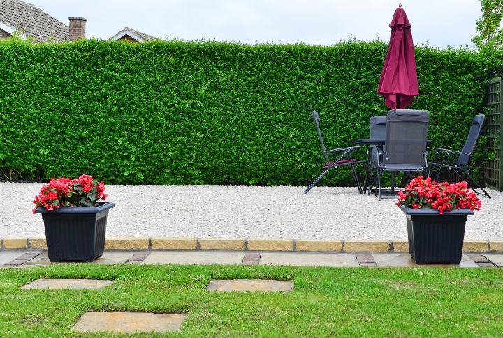 15 creative living fence ideas for your outdoor space