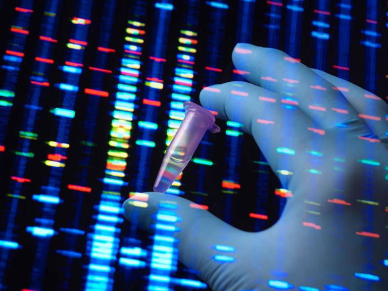 Pharma: Eli Lilly schließt Milliarden-Deal mit deutschem Start-up