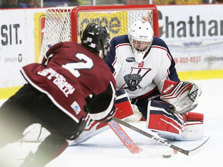 A look at some of the potential new faces in the Windsor Spitfires ...