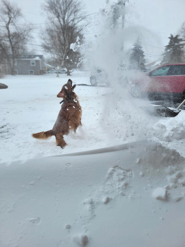 Photo gallery: Snow day fun from NW Ohio and SE Michigan during the ...