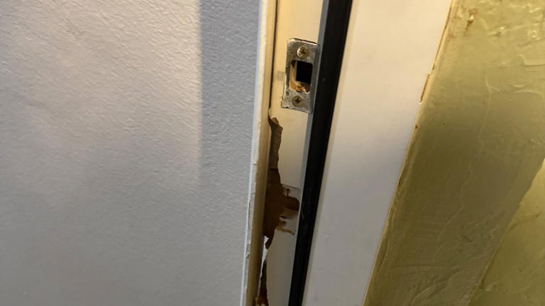 Florida teen arrested after viral 'door kick challenge' leads to dog's ...