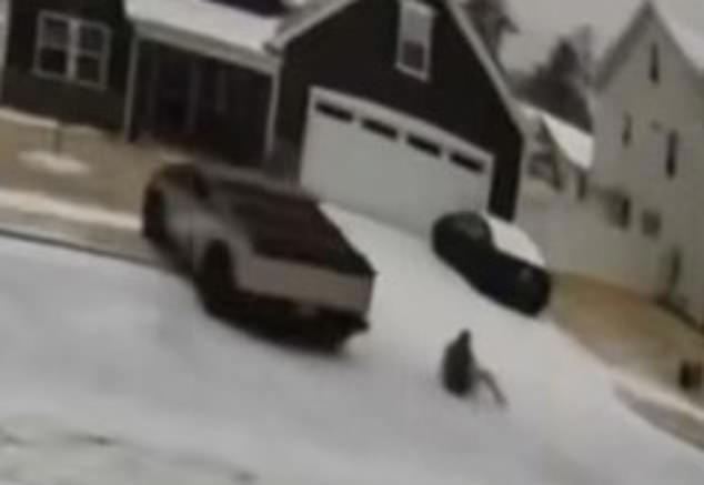Veteran with PTSD goes on Cybertruck rampage through North Carolina ...