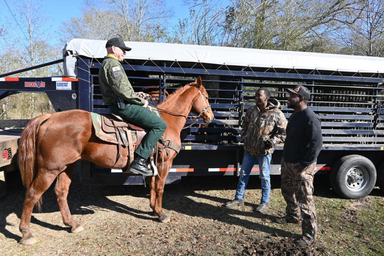 Pike County deputies save four horses from poor conditions