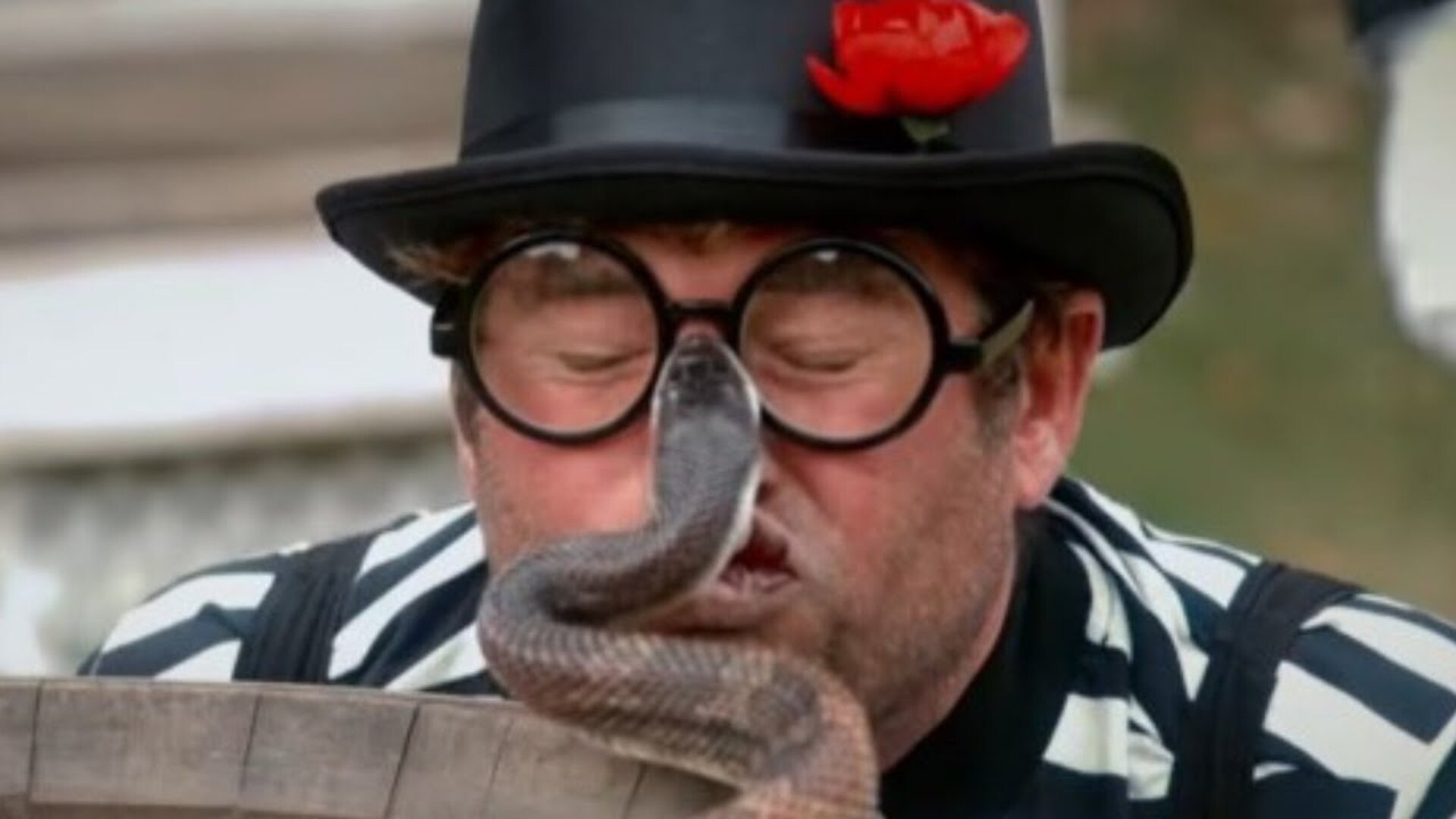 This Jackass Forever scene ended Knoxville's stunt career