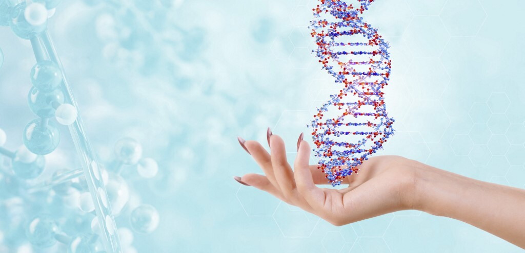 DeepMind presenta AlphaGenome: il modello IA che predice la funzione ...