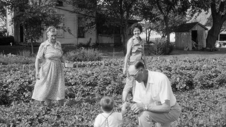 Life lessons children of the 1960s learned that are rare today