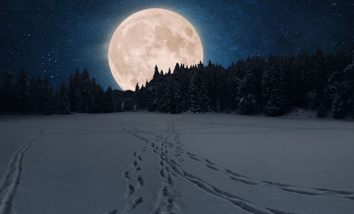 Don't miss this weekend's full moon, it will do something we won't see ...