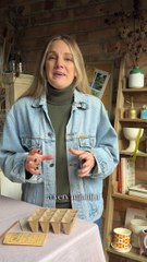 Petals & Roots: Sowing Icelandic poppy seeds #shorts