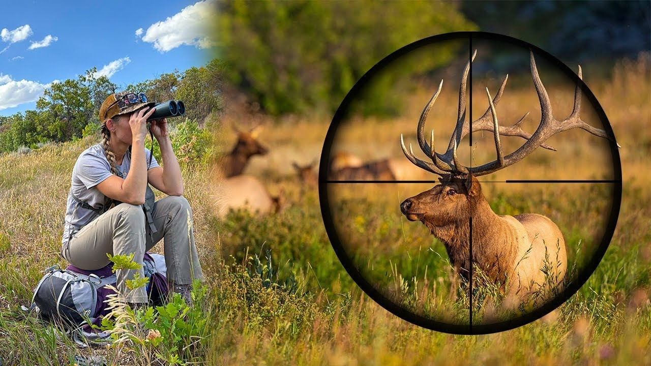 Epic elk hunt in America's largest regenerative cattle ranch