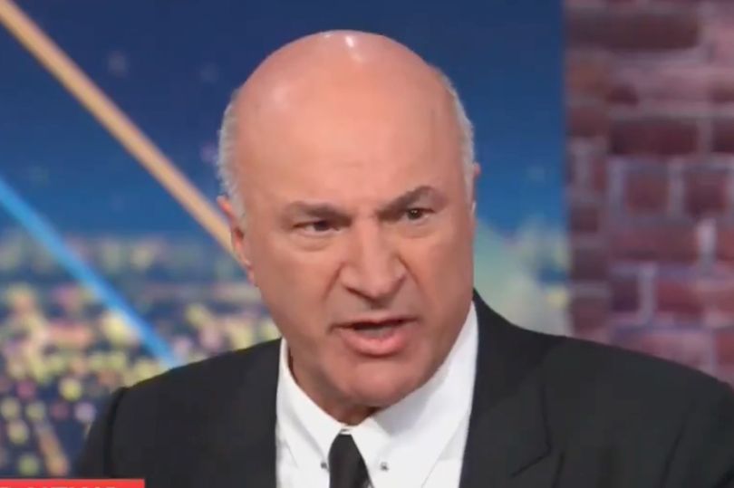 CNN viewers slam Kevin O'Leary's 'toddler tantrum' as he screams 'I ...
