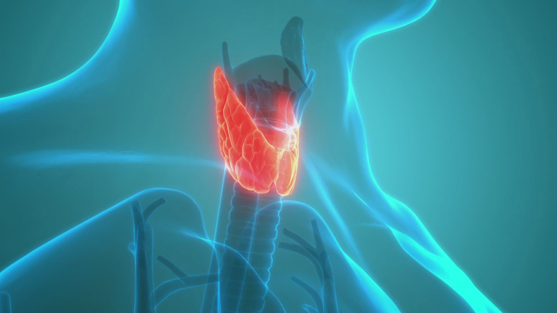 Going over the warning signs of thyroid issues, symptoms are hard to spot