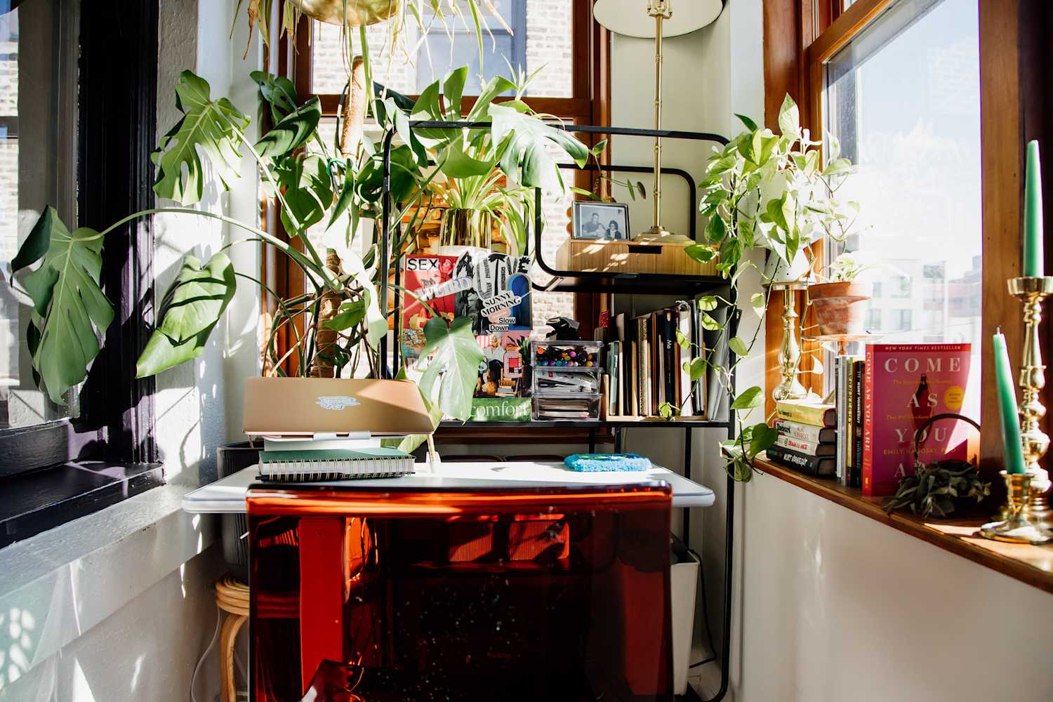 The $25 find that accidentally fixed my posture (and got rid of my back ...