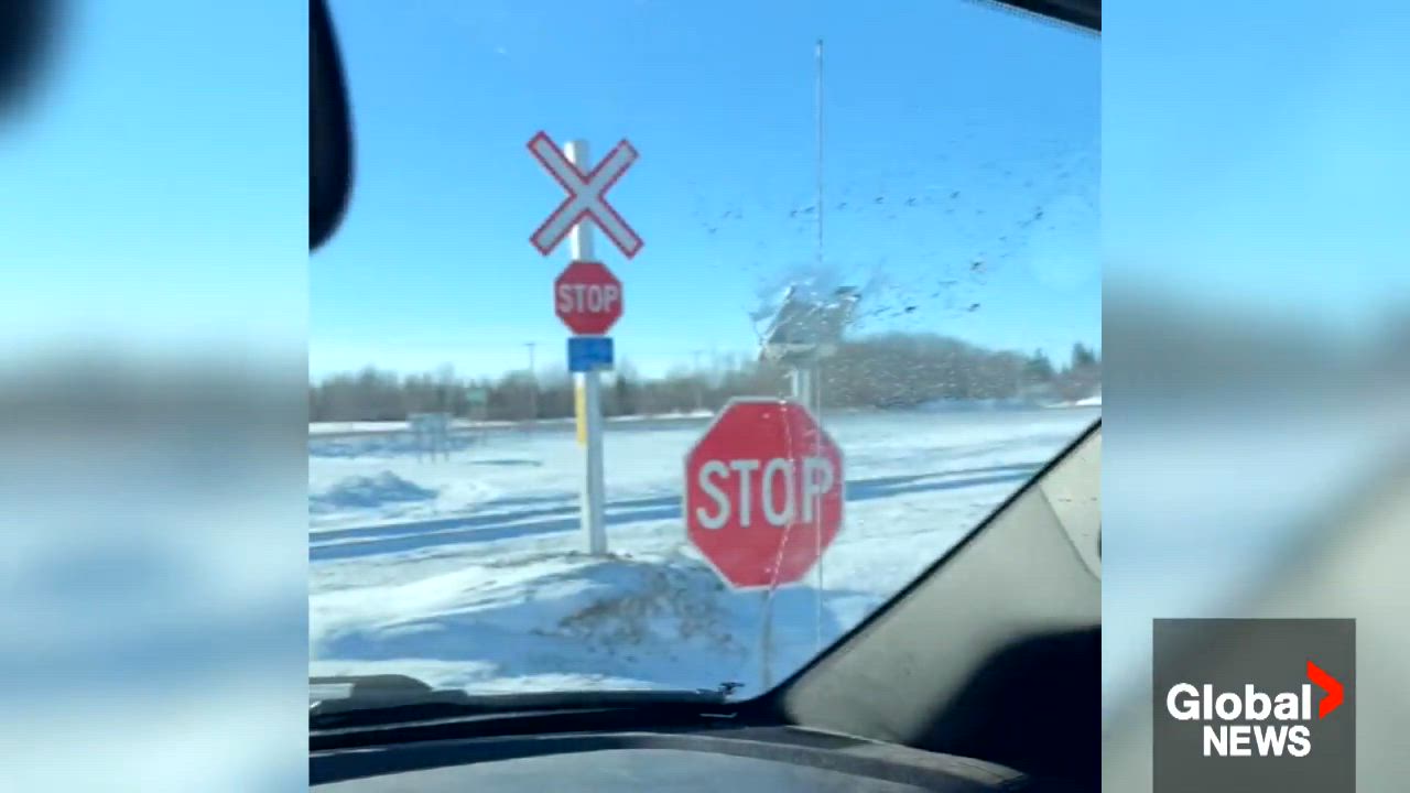 Saskatchewan man pushing for physical barriers, safety measures after ...