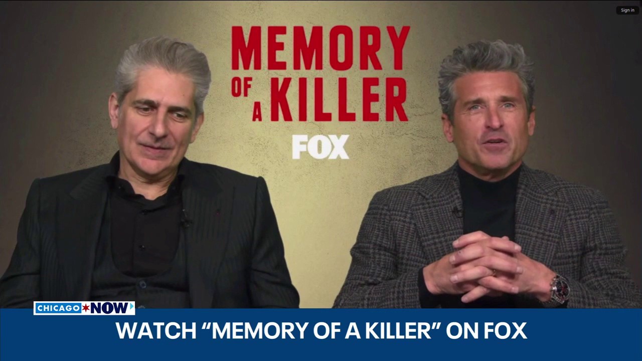 Patrick Dempsey, Michael Imperioli discuss new FOX thriller 'Memory of ...