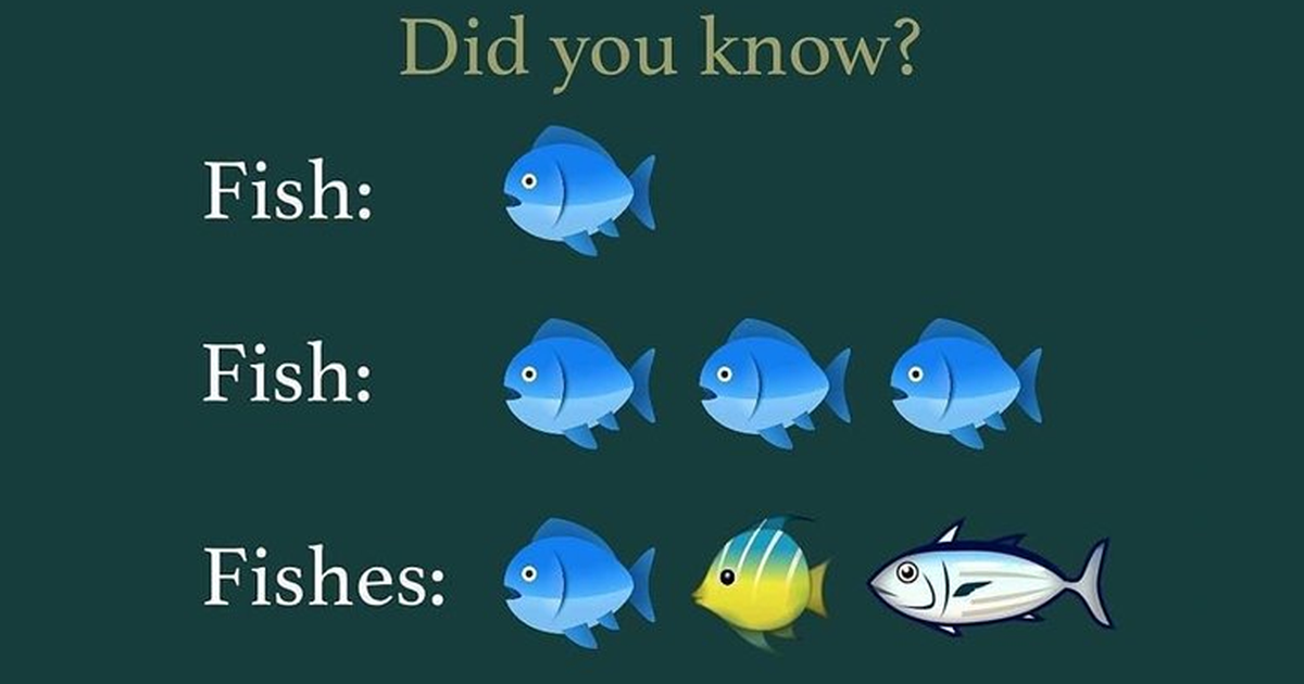If you’re feeling confused by the English language, these 28 tips by ...