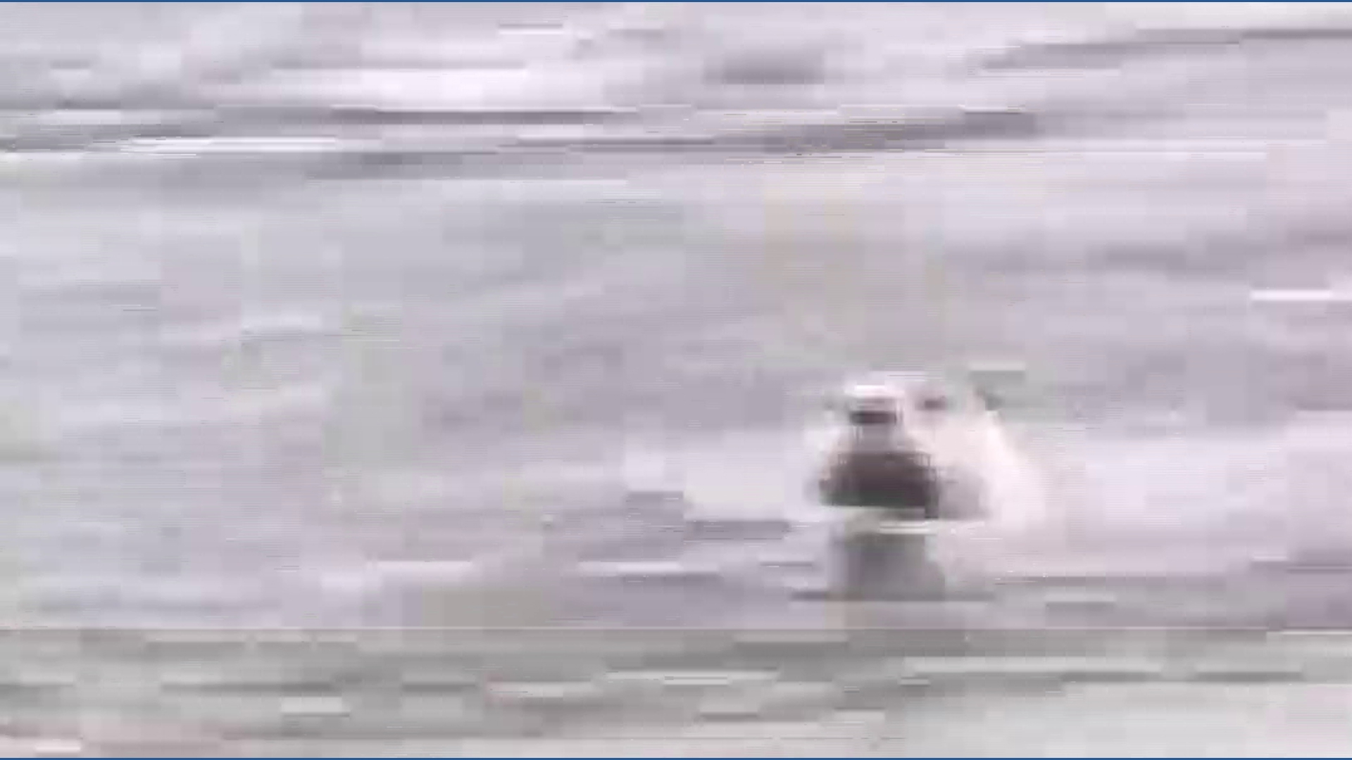 River otter seen swimming in the Spokane River at Riverside State Park