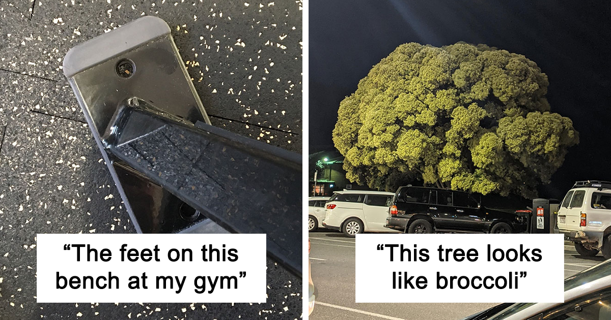 50 times people had to look twice at things to realize what they were