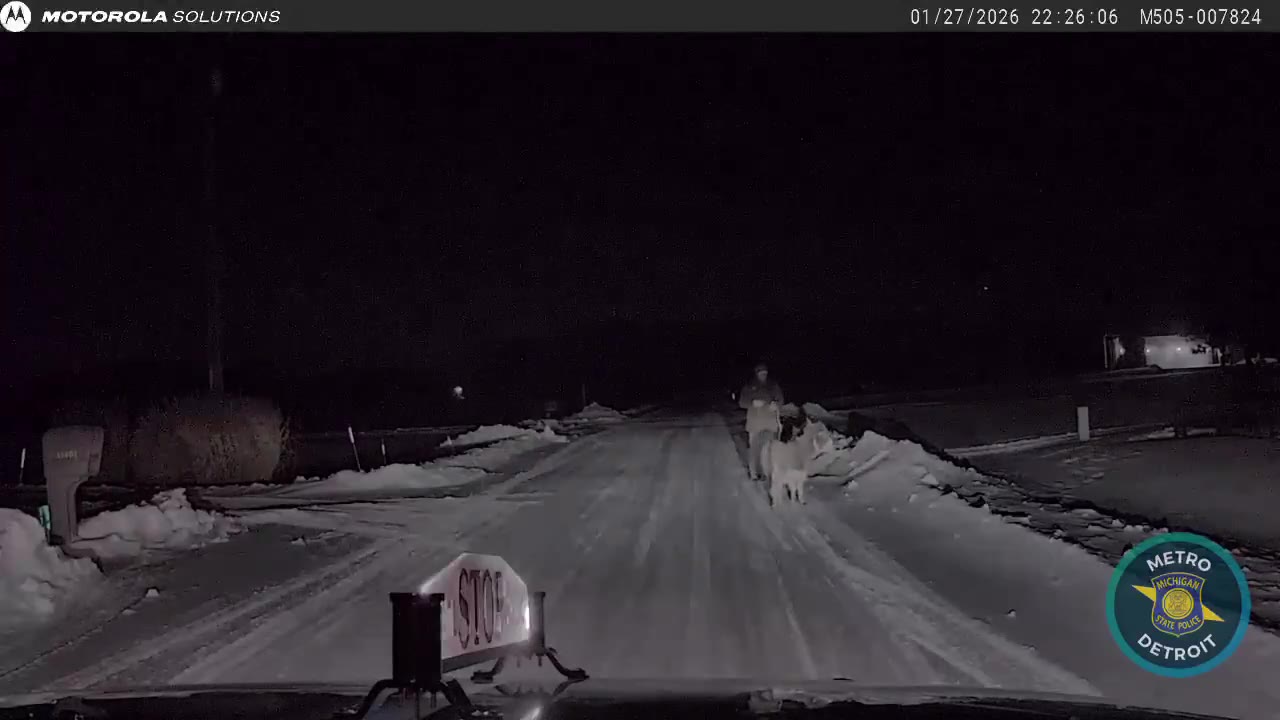 MSP trooper spots donkey wandering down road