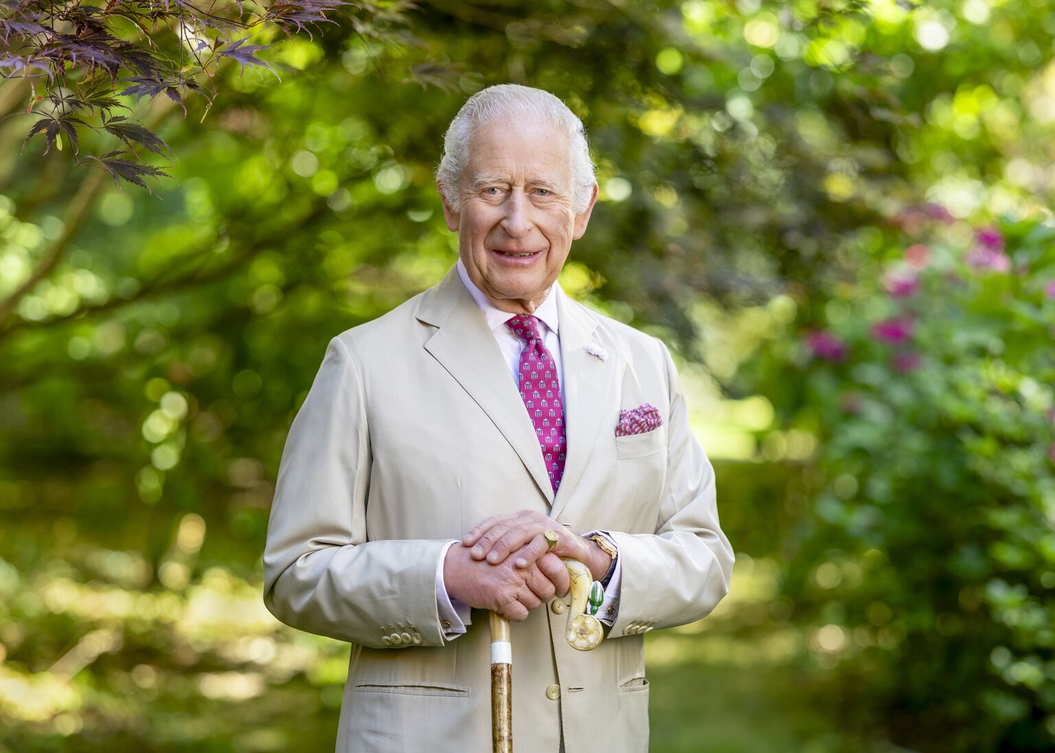 Charles 'wasn't going to be diverted' from green issues, Prime Video ...