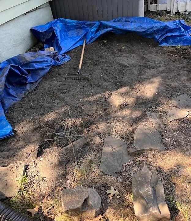 Homeowner shares photos after digging up concerning issue in backyard ...