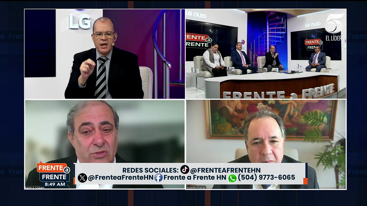 La ENEE es "un barril sin fondo": Rodolfo Dumas