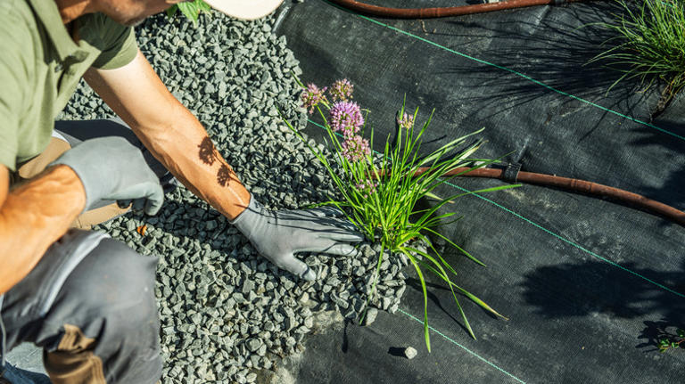 Why it's time to ditch the landscape fabric (& the best alternative to ...