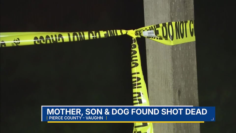 Video: Man, woman and dog found dead
