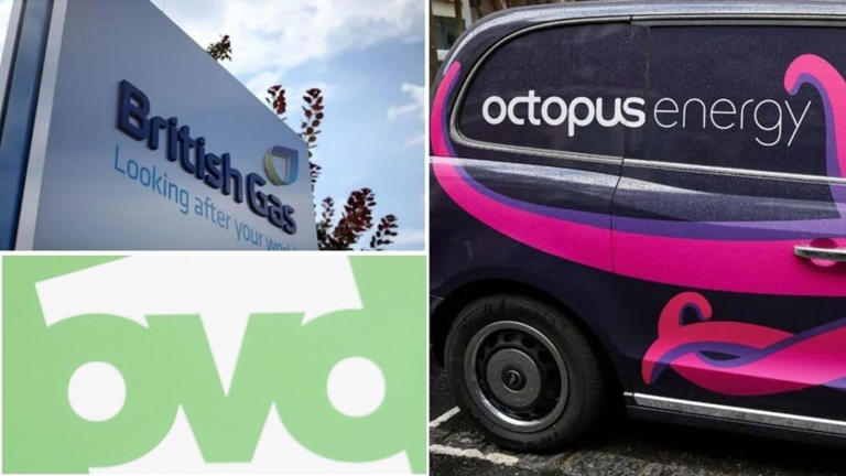 British Gas, Octopus, OVO and EON customers warned of 'vampire devices ...