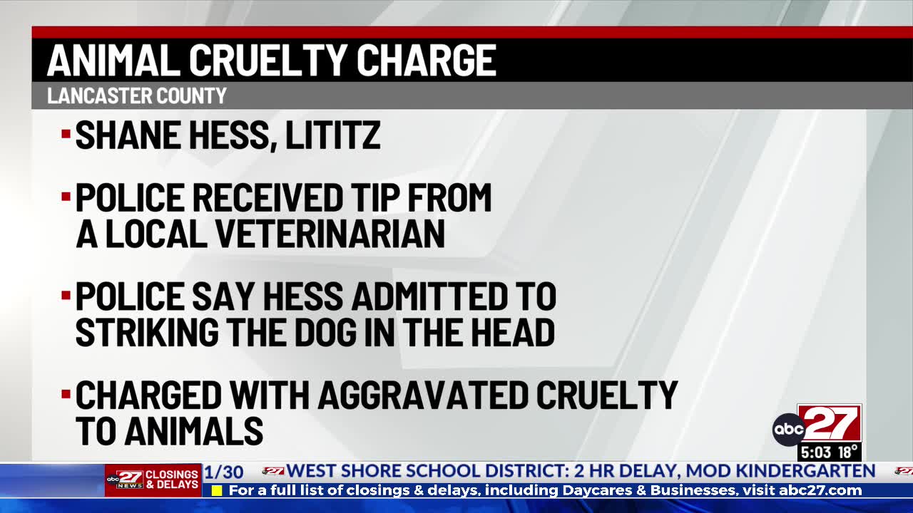 Lancaster County man charged after dog suffers possible brain damage