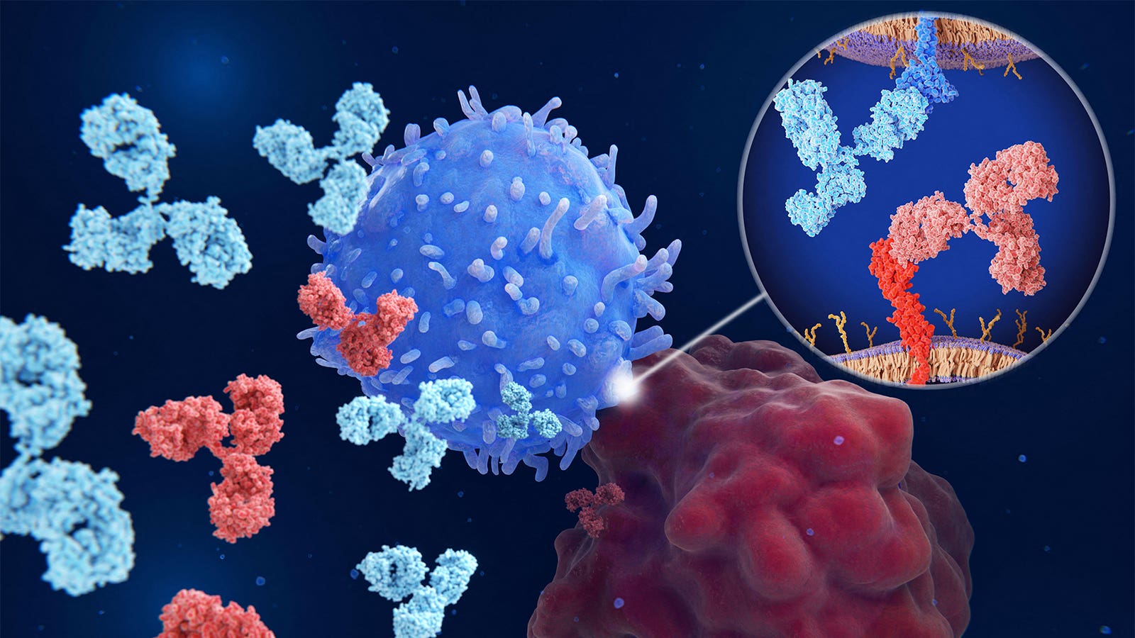 A call to consider patients' medication list when prescribing cancer ...
