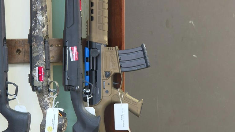 Gun control bills in Virginia seeking to ban assault weapons, limit ...