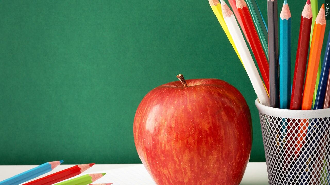 Area schools make Texas honor roll list