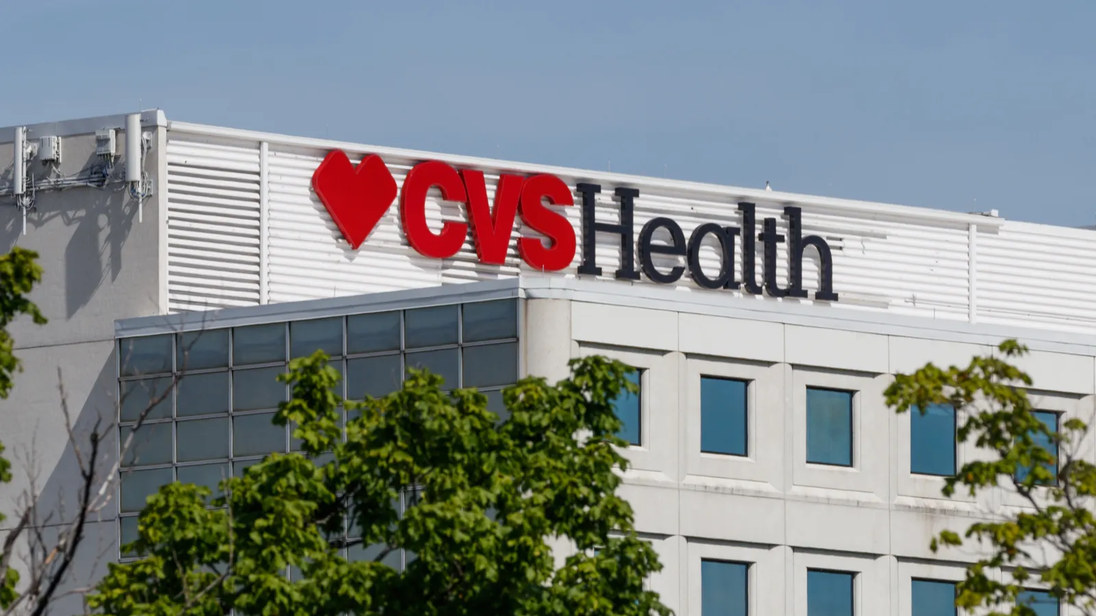 Twin Cities care providers scramble after Minnesota removes thousands ...