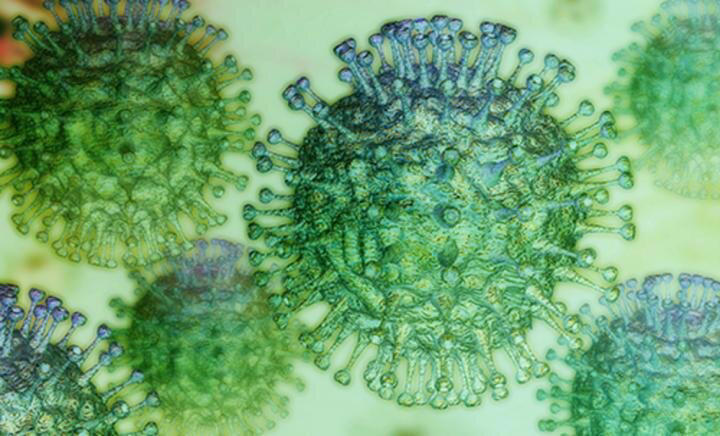 These two viruses may become the next public health threats, scientists say