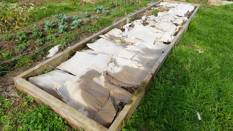 Why it's time to ditch the landscape fabric (& the best alternative to ...