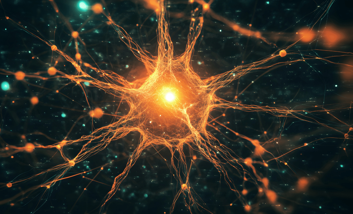 Scientists grow specialized neurons that could revolutionize ALS treatment