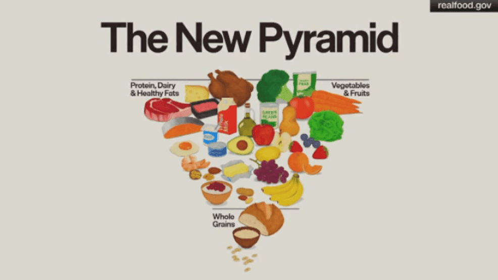 'Flipped' food pyramid sparks confusion, debate among Lowcountry ...