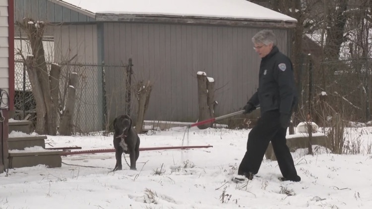 New animal crimes unit targets rising abuse cases in Cuyahoga County
