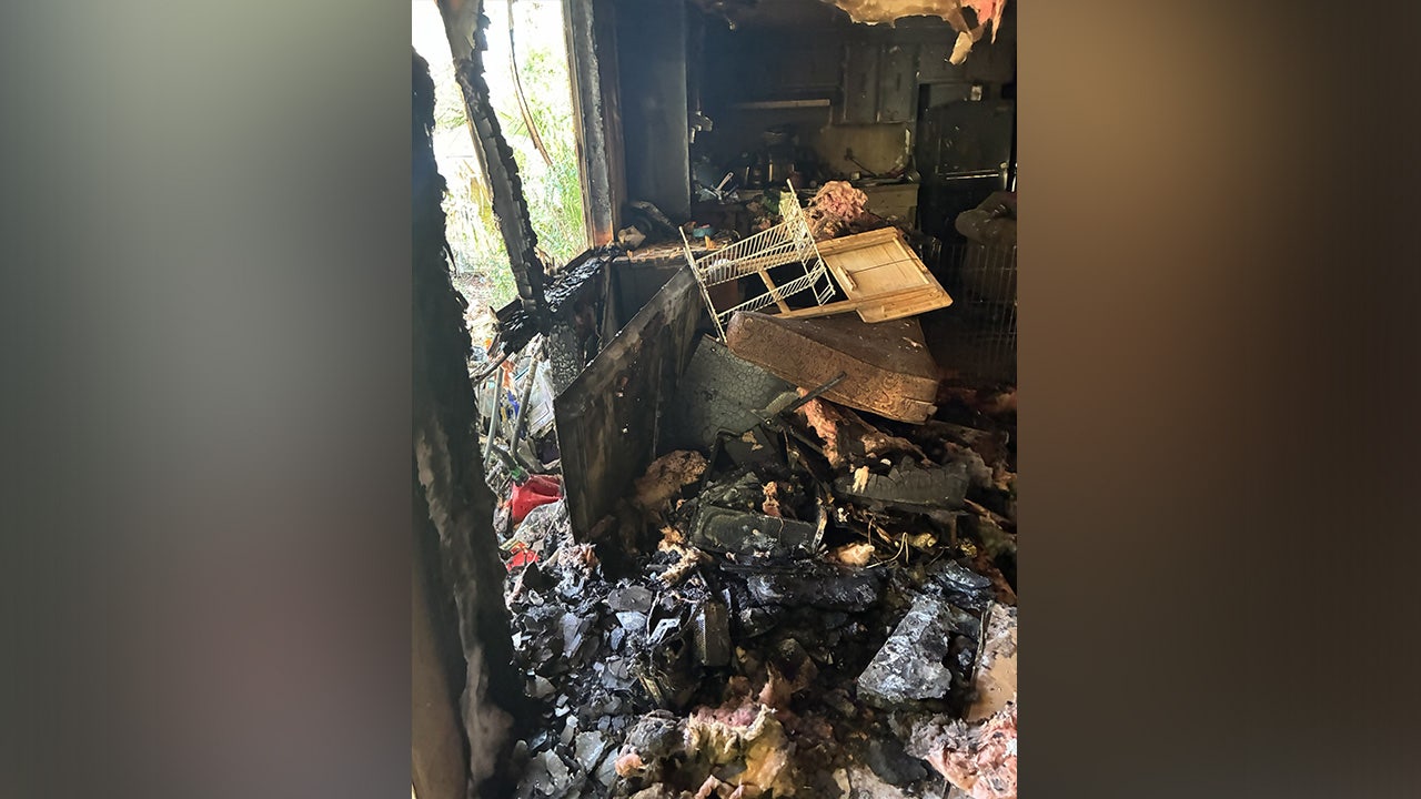 Several animals found dead after house fire in Crystal River: CCFR