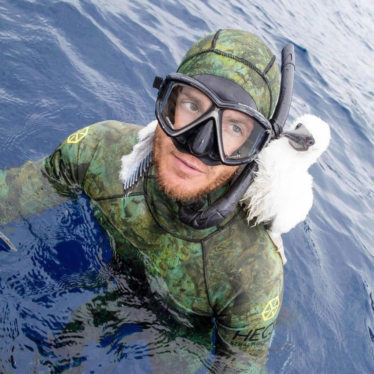 Diver feels 'touch' on his shoulder and realizes a baby bird is ...