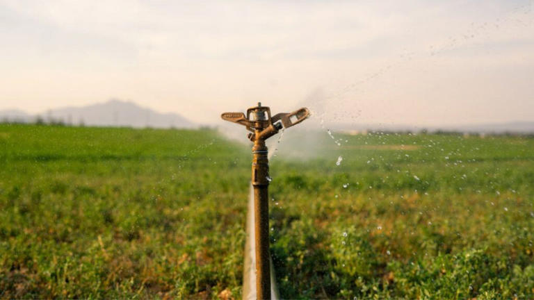 Sudden crisis pushes vegetable prices to double, experts issue warning