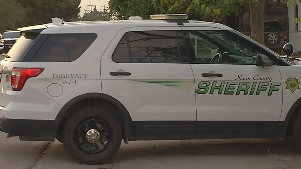 14 arrested in illegal lodging/squatting & arrest warrants operation in ...