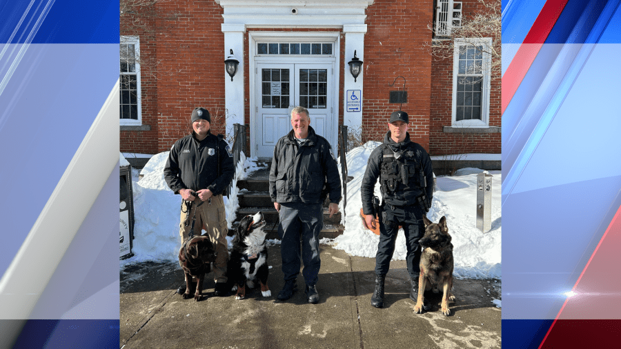 Greenfield makes 2026 dog licenses available, outlines requirements