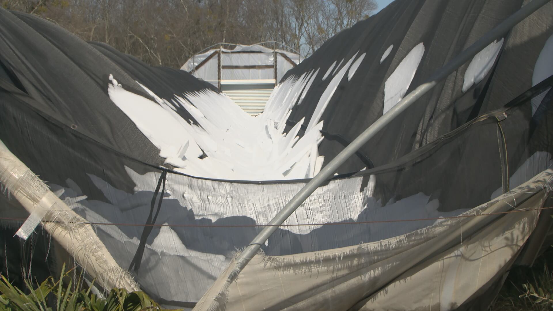 Weight of winter storm’s snow, sleet and ice proves too much for ...