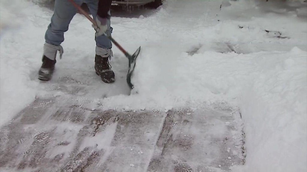 Brooklyn Snow Patrol program helps seniors dig out, and brings ...