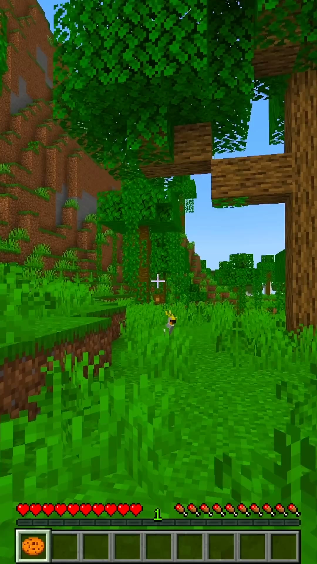 AGREGEN LAS LUCIÉRNAGAS EN Minecraft 😳😳👍