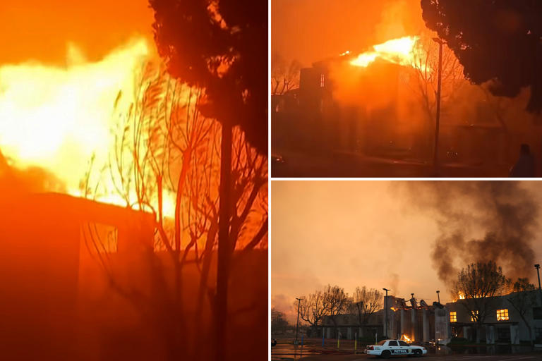Historic Jewish temple destroyed in LA wildfire sues electric company ...