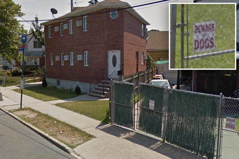 NYPD cops shoot, wound 'vicious' pit bull that had been attacking ...